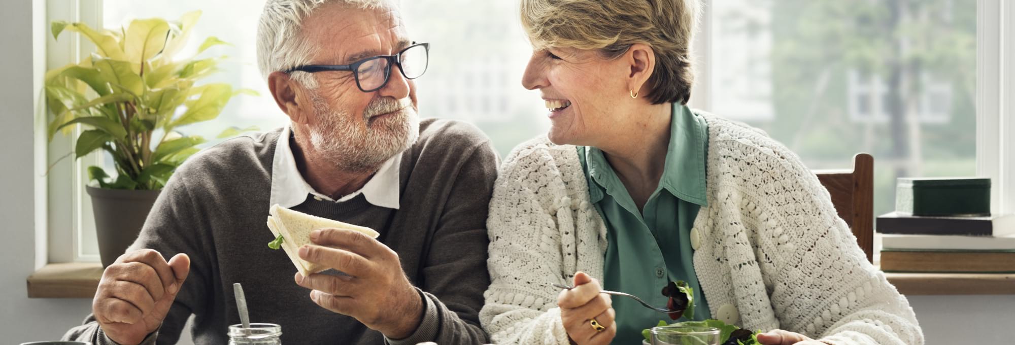 Home Reversion Plans - Releasing Equity From Your Home